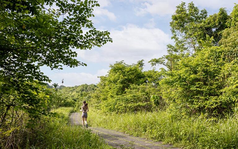 The Hava Ubud - Refined Serenity in the Heart of Ubud